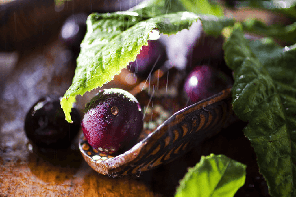 Davidson's Plum – Outback Spirit