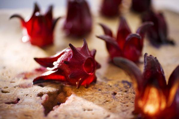 Wild Rosella – Outback Spirit